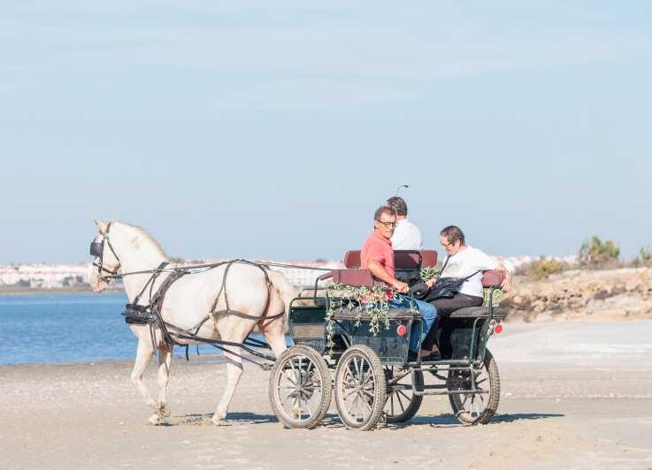 CARRIAGE Ride On The Beach (Rosário Beach) - Who Should Consider This?