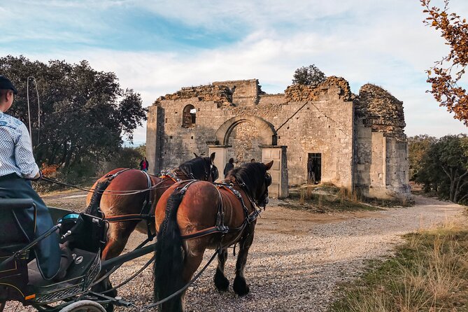 Carriage rides, Pays de Sommières - Practical Tips for Travelers