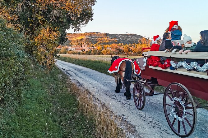 Carriage rides, Pays de Sommières - The Sum Up: Who Will Love This Experience?