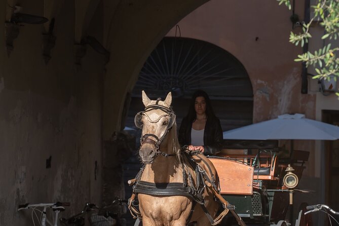 Carriage Tour in the Historic Center of Lucca - Accessibility and Participation Details