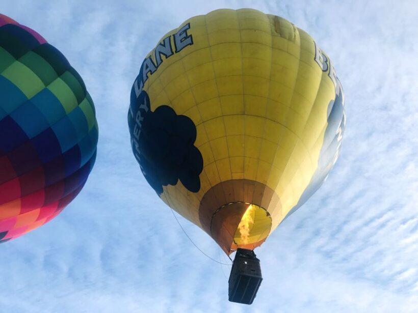 Carson City: Hot Air Balloon Flight - Who Should Consider This?