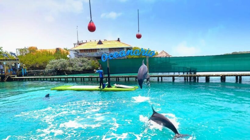 CARTAGENA: 4 islands by sport boat +oceanarium tickets - A Deep Dive into Each Stop