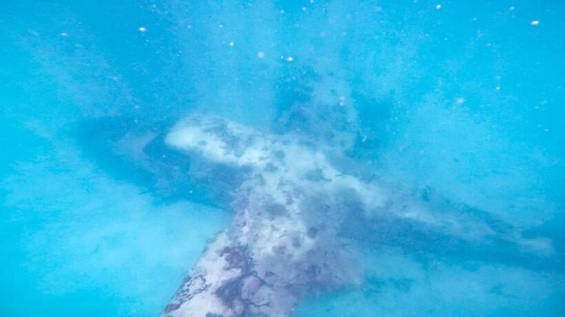 CARTAGENA: 4 islands by sport boat +oceanarium tickets - In Closing