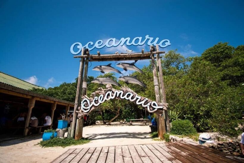 Cartagena: All-Inclusive Rosario Islands Speedboat Tour - Practical Tips for Making the Most of This Tour