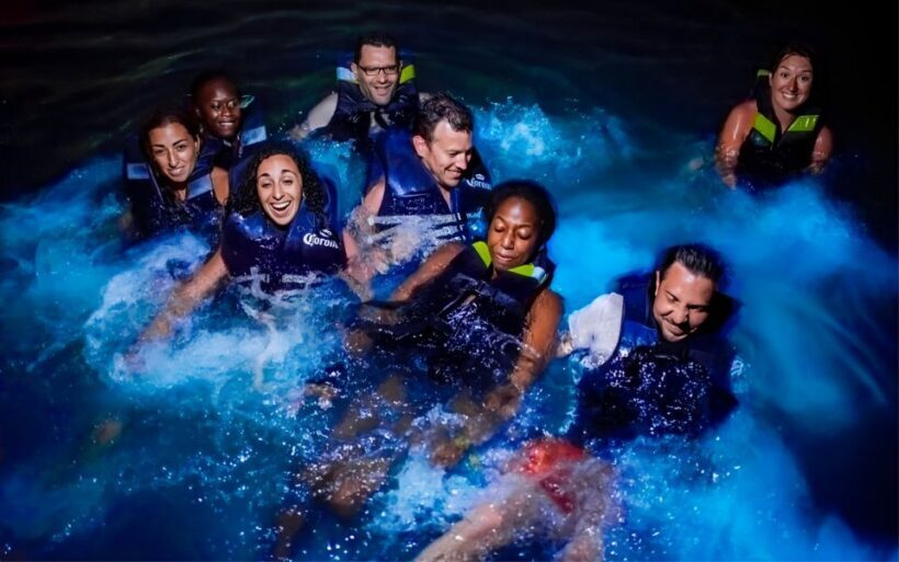 Cartagena: Barú Sunset Beach with Bioluminescent Plankton - What Do the Reviews Say?