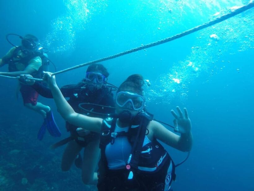 Cartagena: Basic Diving for beginners in Rosario Islands - The Full Experience: What to Expect