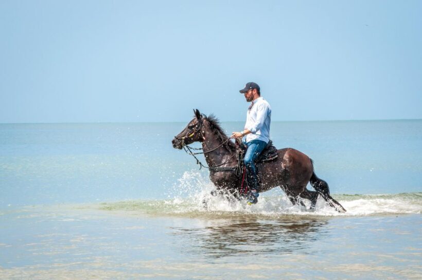 Cartagena: Beach Horse Ride and Colombian Horse Culture - Key Points