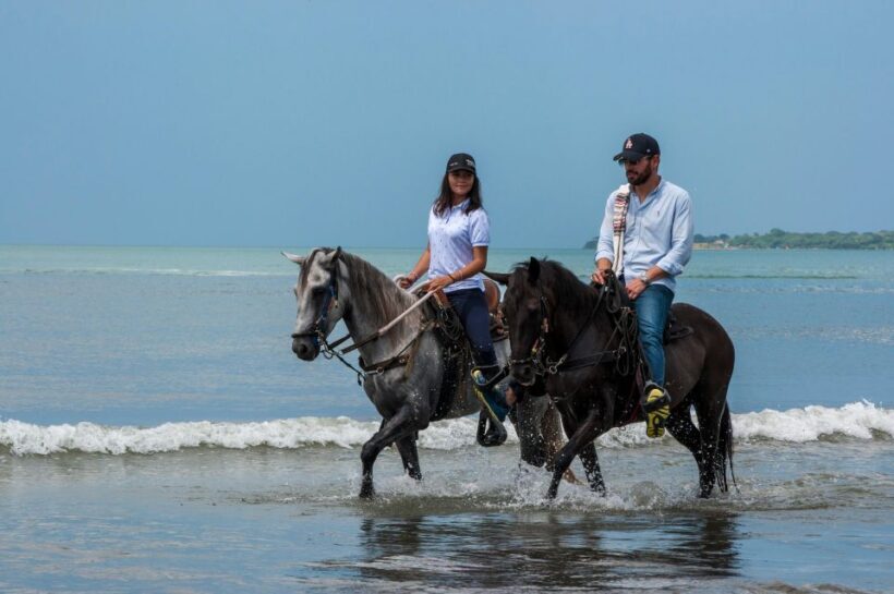 Cartagena: Beach Horse Ride and Colombian Horse Culture - What to Expect from Start to Finish