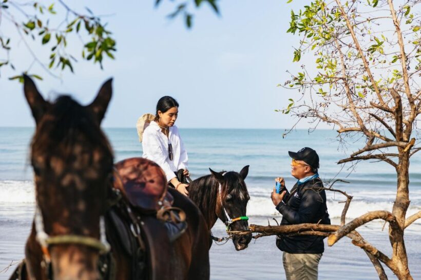 Cartagena: Beach Horse Ride and Colombian Horse Culture - Authenticity and Cultural Connection