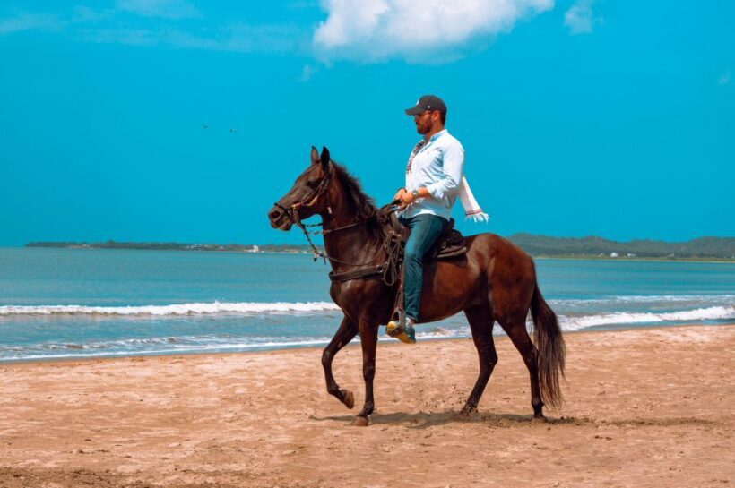 Cartagena: Beach Horse Ride and Colombian Horse Culture - Who Should Consider This Tour?