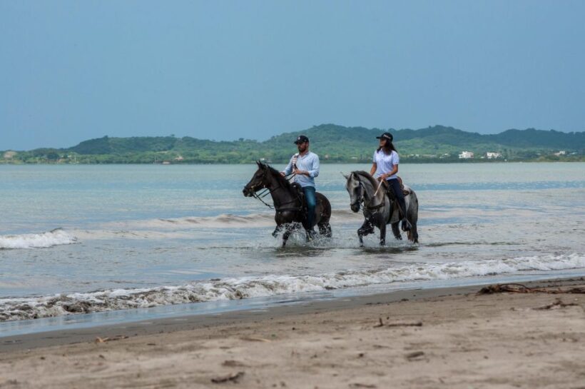 Cartagena: Beach Horse Ride and Colombian Horse Culture - FAQ: Frequently Asked Questions