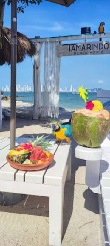 Cartagena: Beach House Tamarindo Tour - Final Thoughts: The Value of a Caribbean Relaxation Day