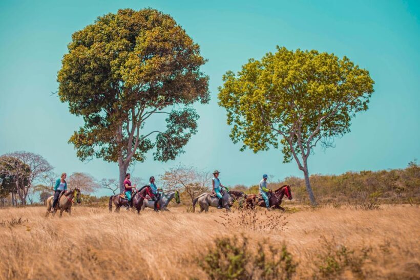 Cartagena, Blue Apple Beach, Horse Treks - Key Points