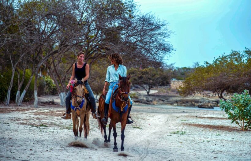 Cartagena, Blue Apple Beach, Horse Treks - Who This Tour Is Best For
