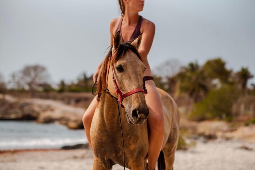 Cartagena, Blue Apple Beach, Horse Treks - Final Summary