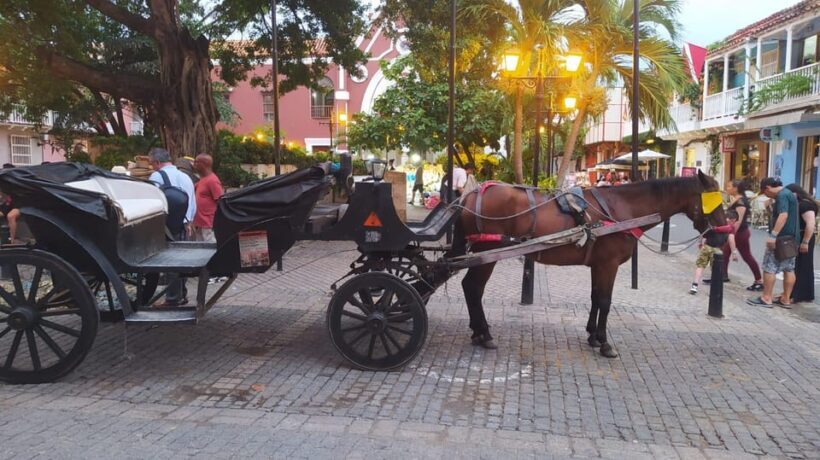 Cartagena: COLLONIAL HORSE DRAWN CARRIAGE by THE OLD CITY - What’s Included and What’s Not