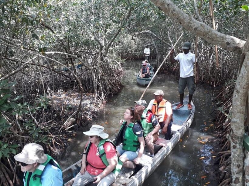 Cartagena: FISHERMEN'S ISLAND IN THE MANGROVES by canoe - Final Thoughts
