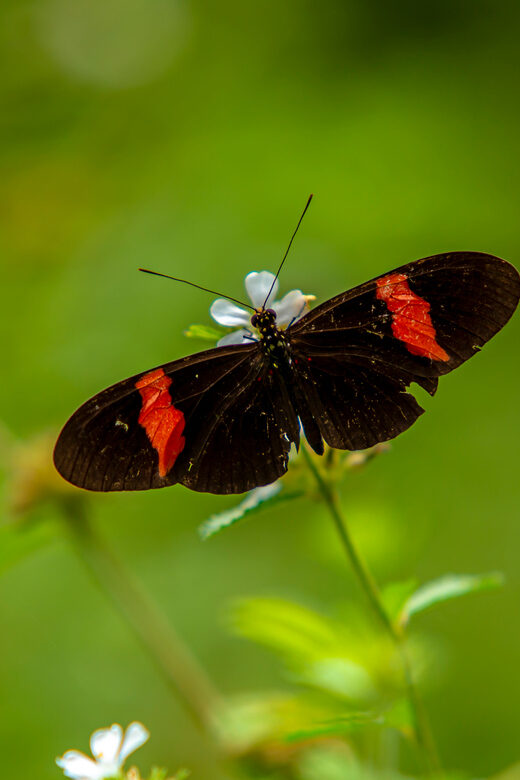 Cartagena: Guided Hiking Tour - FAQs