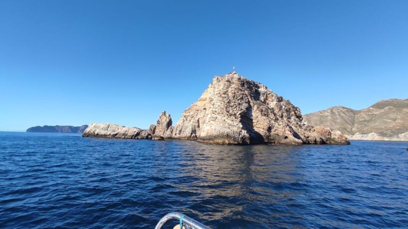 Cartagena: Guided tour by boat to the Isla de las Palomas - FAQ