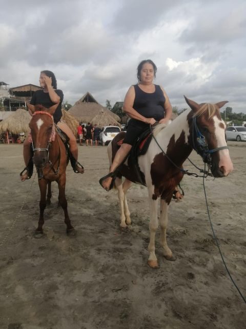 Cartagena: Horse Riding on the Beach with Photos and Lunch - A Closer Look at the Experience