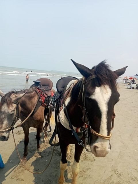 Cartagena: Horse Riding on the Beach with Photos and Lunch - Final Thoughts