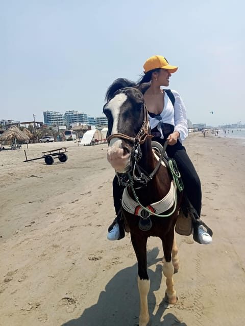 Cartagena: Horse riding on the beaches of Cartagena & PHOTOS - Authentic Experiences and Feedback