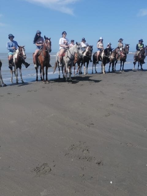 Cartagena: Horse riding on the beaches of Cartagena & PHOTOS - Who Should Consider This Tour?