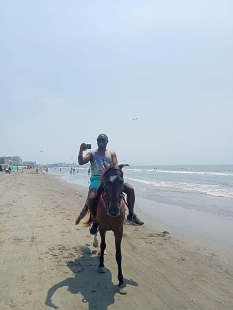 Cartagena: Horse riding on the beaches of Cartagena & PHOTOS - FAQ