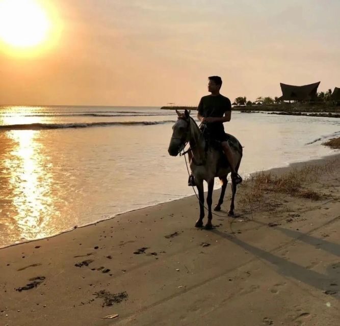 Cartagena: Horseback Ridding Excursion on the Beach - What to Expect from the Tour