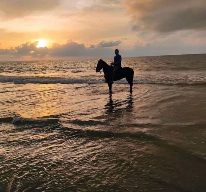 Cartagena: Horseback Ridding Excursion on the Beach - Final Thoughts: Is It Worth It?