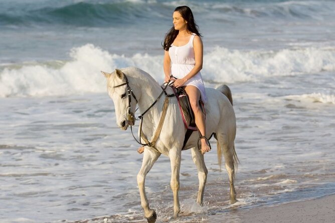 Cartagena: Horseback Riding at the Beach During Day or Sunset - Key Points