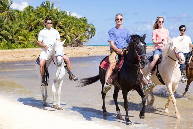 Cartagena: Horseback Riding at the Beach During Day or Sunset - Meeting Point and Logistics