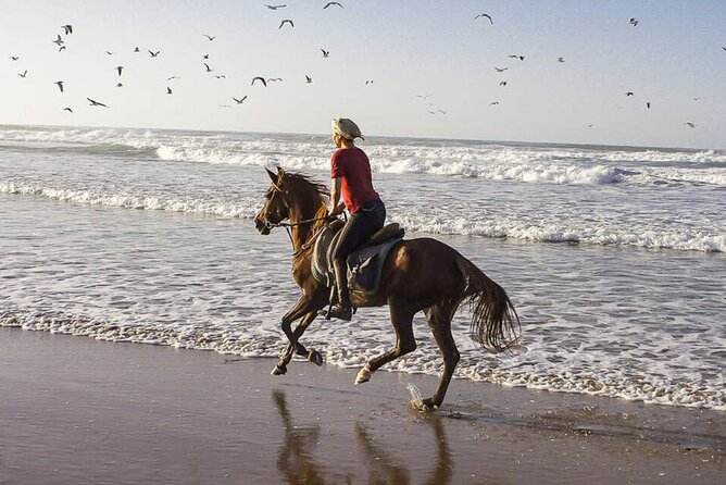 Cartagena: Horseback Riding at the Beach During Day or Sunset - Experiencing the Breathtaking Scenery