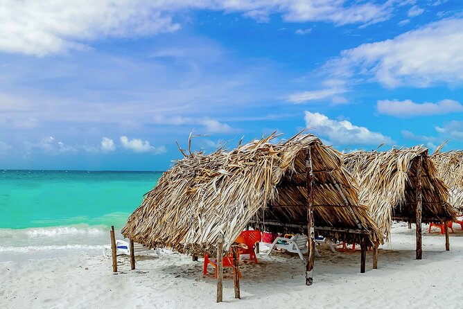 Cartagena: Horseback Riding at the Beach During Day or Sunset - Sunset Horseback Riding Option