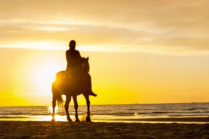 Cartagena: Horseback Riding at the Beach During Day or Sunset - Safety Considerations and Requirements