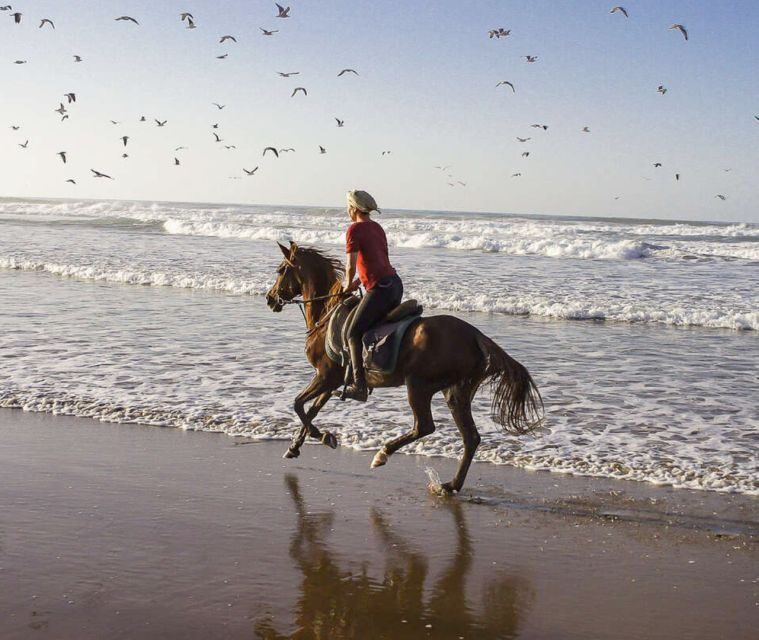 Cartagena: Horseback Riding on the Beach at Sunset - Key Points
