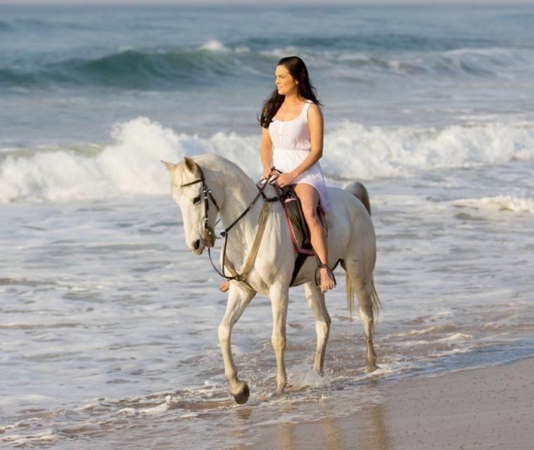 Cartagena: Horseback Riding on the Beach at Sunset - Authentic local culture and eco-tourism