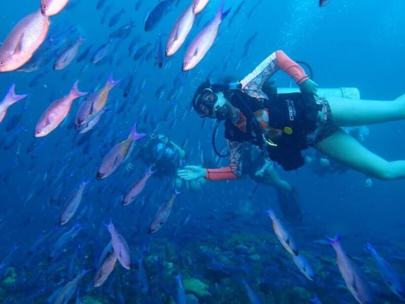 Cartagena: PADI DISCOVER SCUBA / MINICURSO DE BUCEO - Introduction