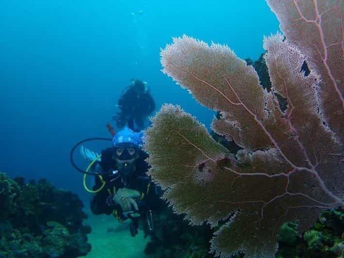 Cartagena: PADI DISCOVER SCUBA / MINICURSO DE BUCEO - Key Points