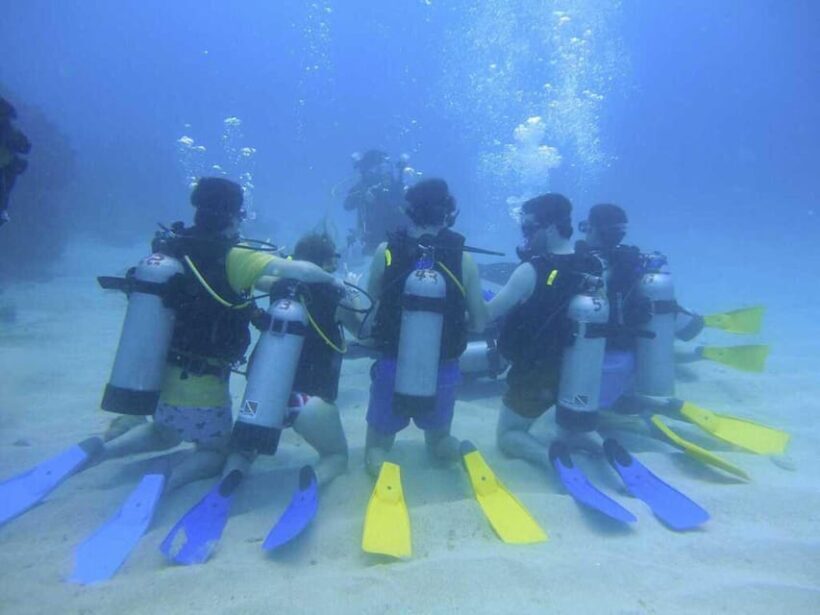 Cartagena: PADI Open Water Diver Course with Certification - The Logistics: Price, Duration, and Group Experience