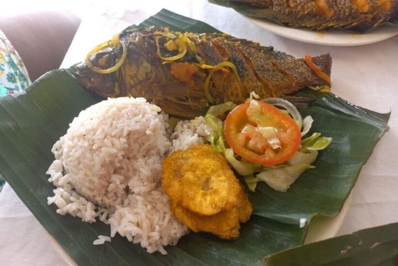 Cartagena: Palenque Tour and Road to Emancipation - The Sum Up: Why This Tour Is a Valuable Cultural Window