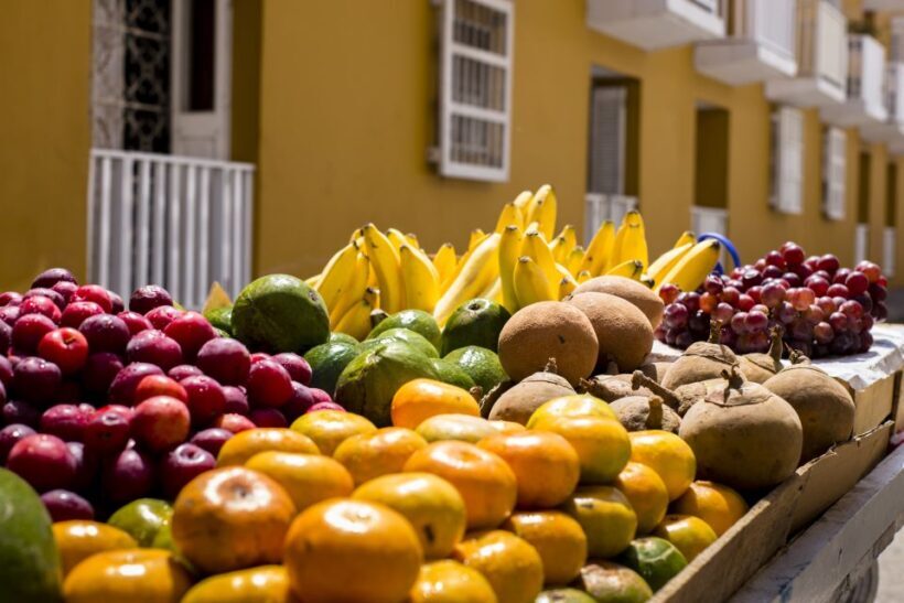 Cartagena: Photography Workshop Tour - Practical Tips for Participants