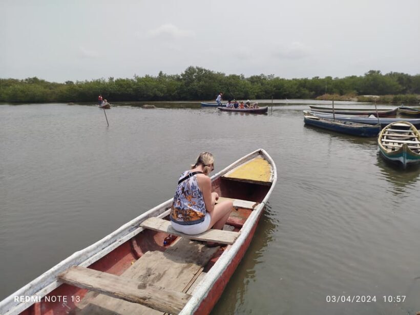 Cartagena: Private Sail in the mangrove GUIDE in ENGLISH - Key Points