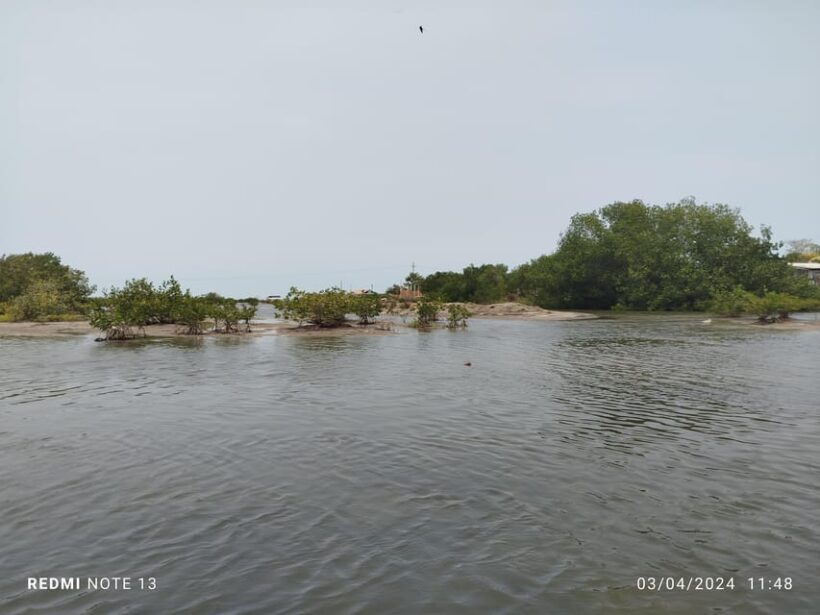 Cartagena: Private Sail in the mangrove GUIDE in ENGLISH - The Sum Up: Why This Tour Is a Good Choice