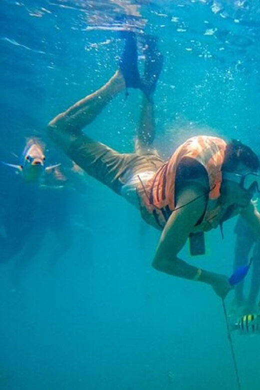 Cartagena: Raccoon Island Snorkel, Mangrove, Photos & Lunch - Final Thoughts