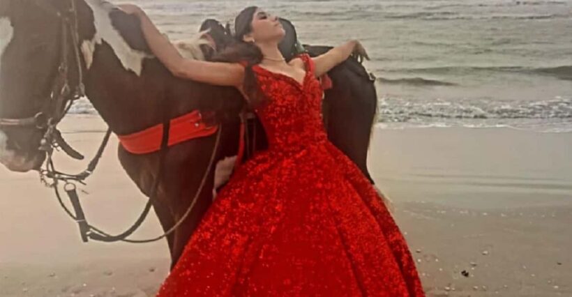 Cartagena: Ride a horse & sail through the mangrove - Key Points