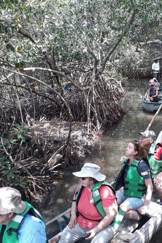 Cartagena: Ride a horse & sail through the mangrove - The Itinerary Breakdown