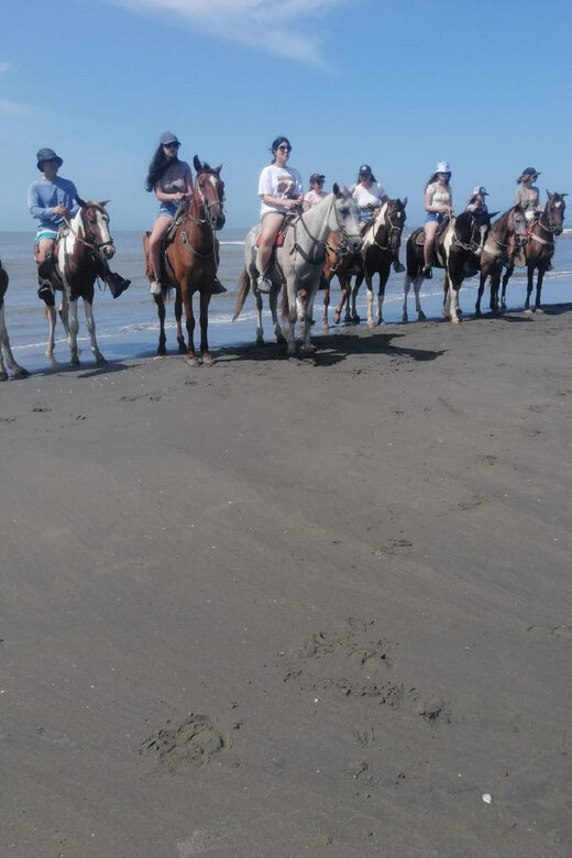 Cartagena: RIDE A HORSE with pick-up at the hotel and return - Key Points
