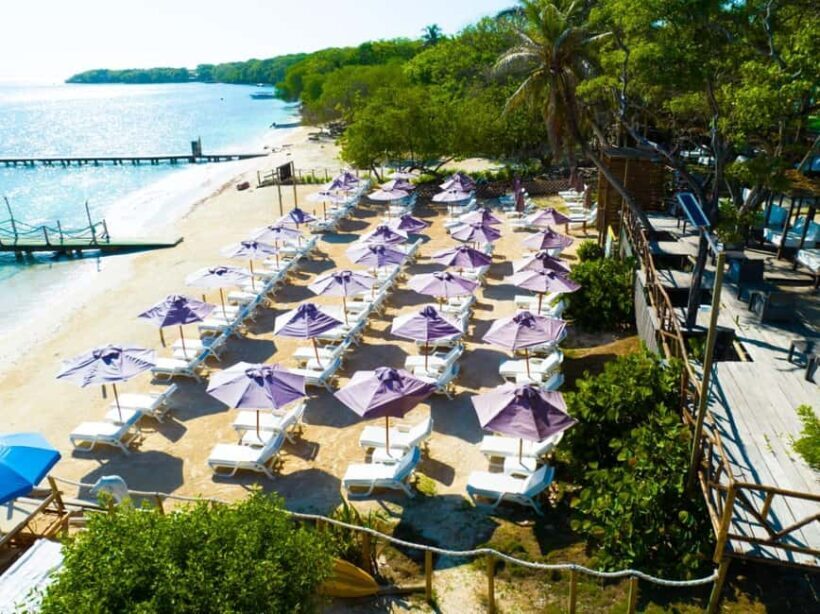 Cartagena: Rosario Island Beach Club Day Trip and OPEN BAR - Key Points