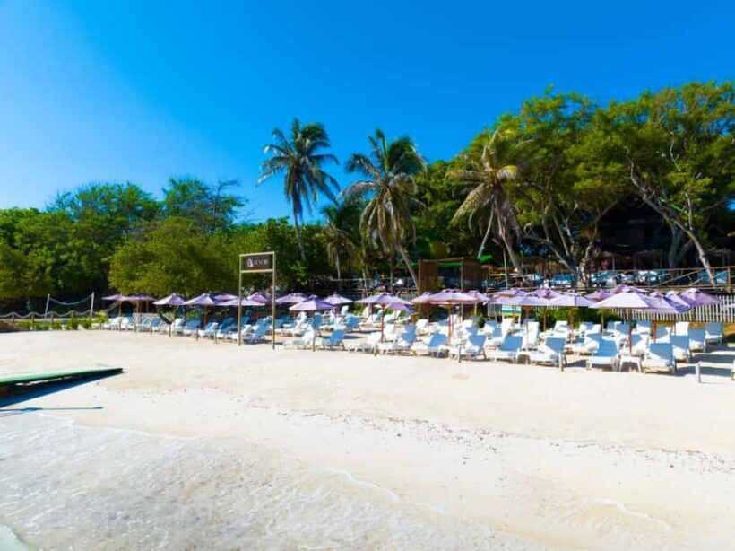 Cartagena: Rosario Island Beach Club Day Trip and OPEN BAR - An Overview of the Rosario Islands Beach Day Trip